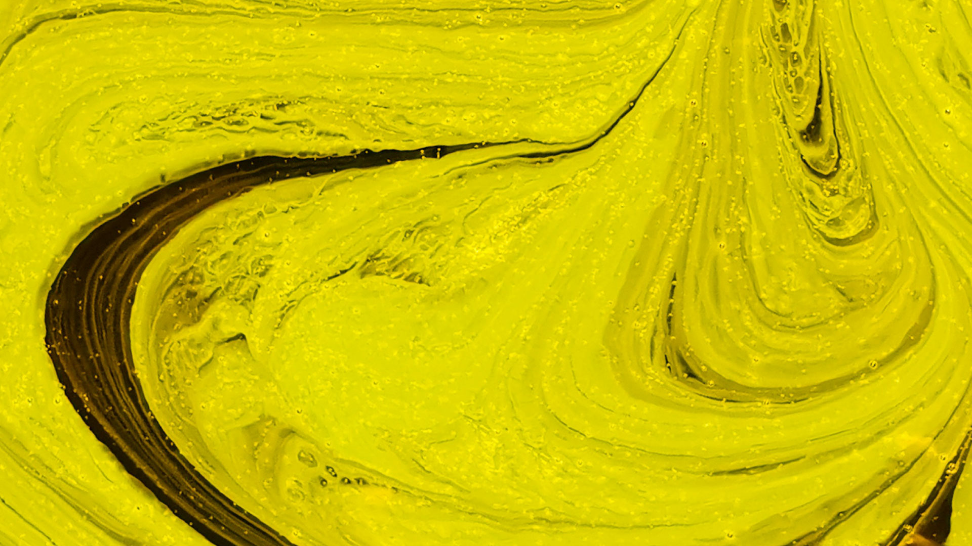 Call4Ideas FVG: award for best innovative idea to BrainDTech and BioChiCa